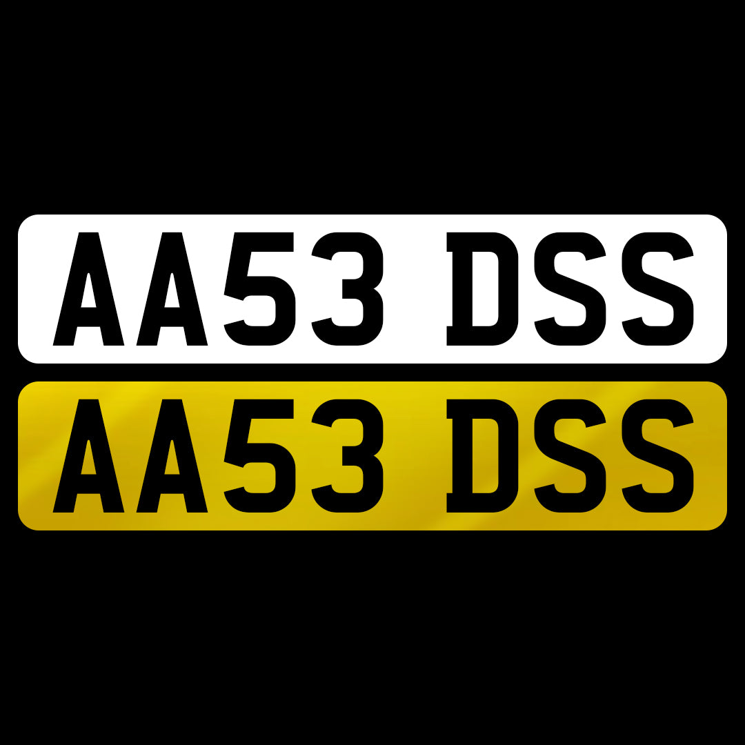AA53 DSS – REG KING