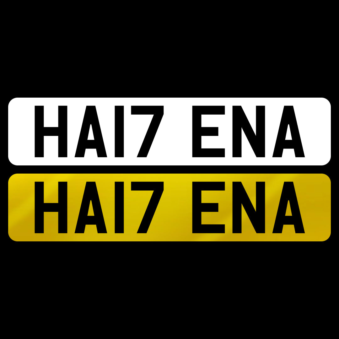 HA17 ENA – REG KING